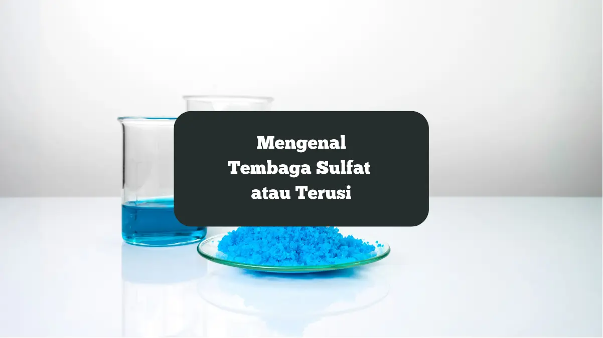 Mengenal Tembaga Sulfat, Bahan Dasar Terusi untuk Basmi Ganggang