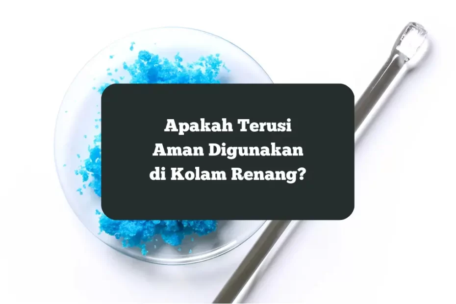 DimultiPool Blog - Informasi Terkini dari DIMULTI POOL