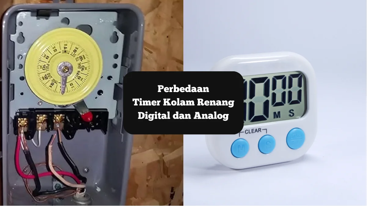 Apa Perbedaan Antara Timer Kolam Renang Digital dan Analog?